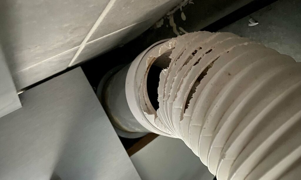 Rats and Drains - iX5 Pest Control